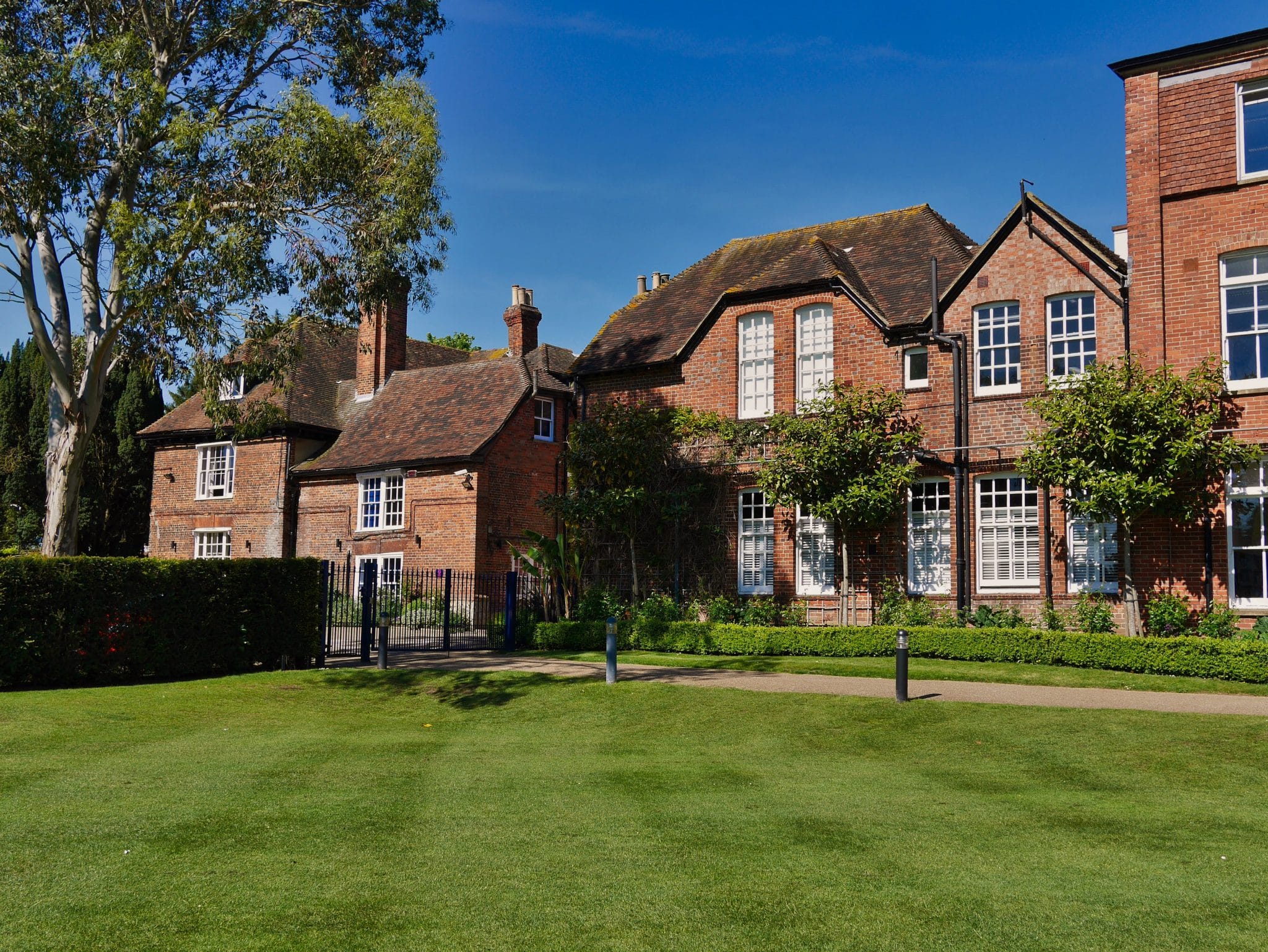 Alumni - Ashford School